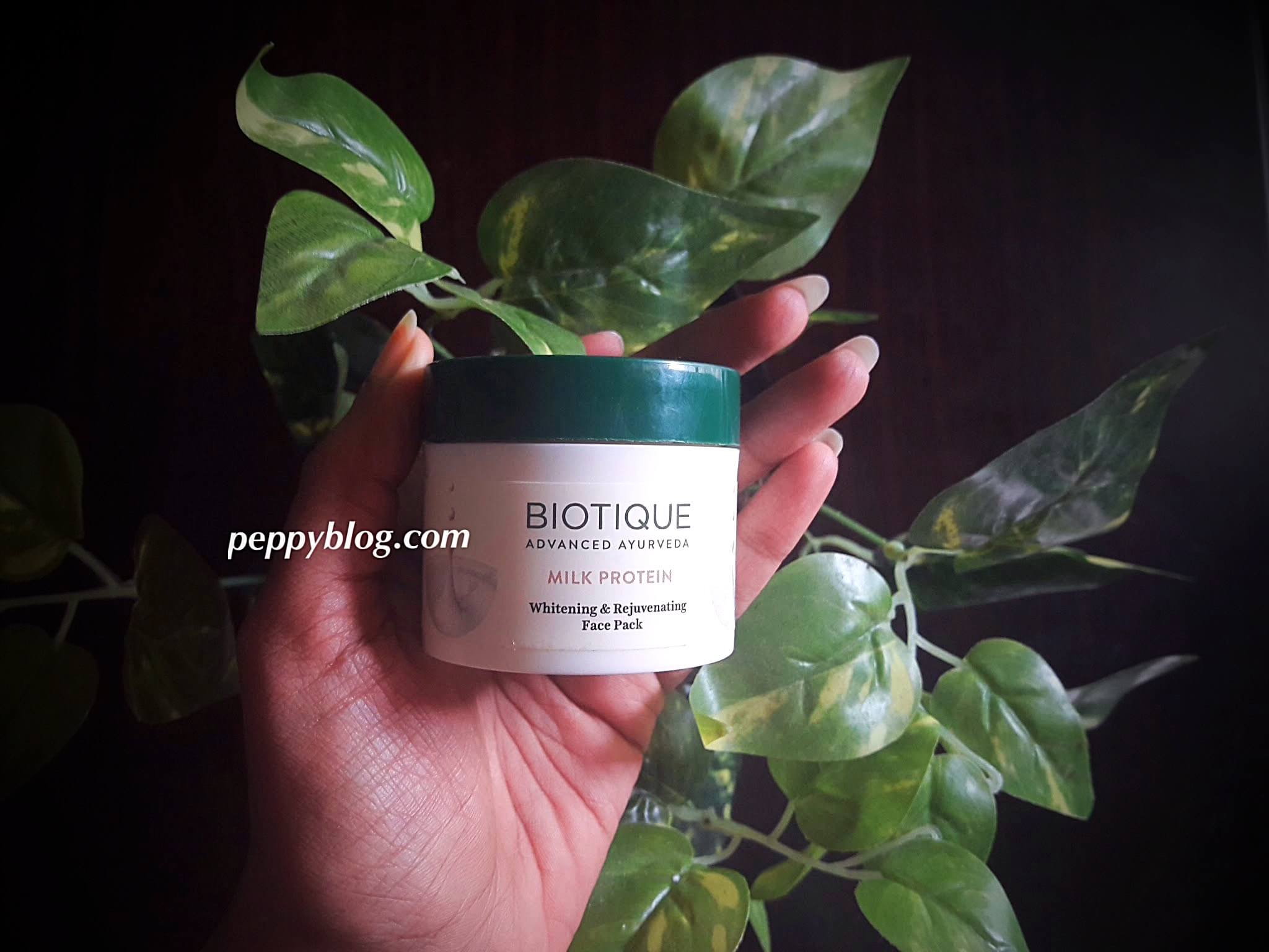 Biotique Bio Milk Protein Whitening & Rejuvenating Face Pack Review ...