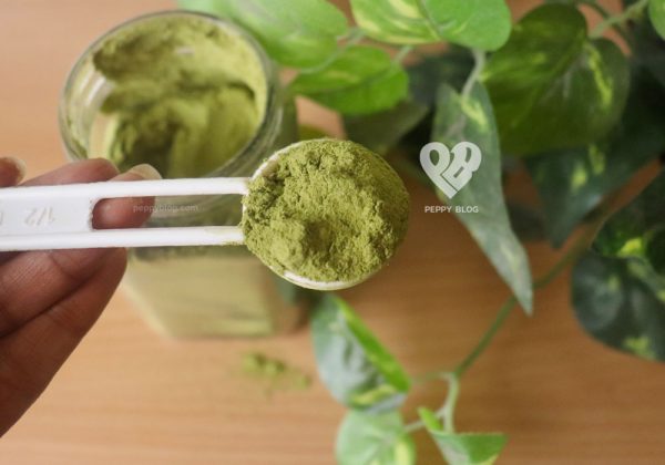 5 DIY Moringa Face Mask Recipes Your Skin Will Thank You For - Peppy Blog