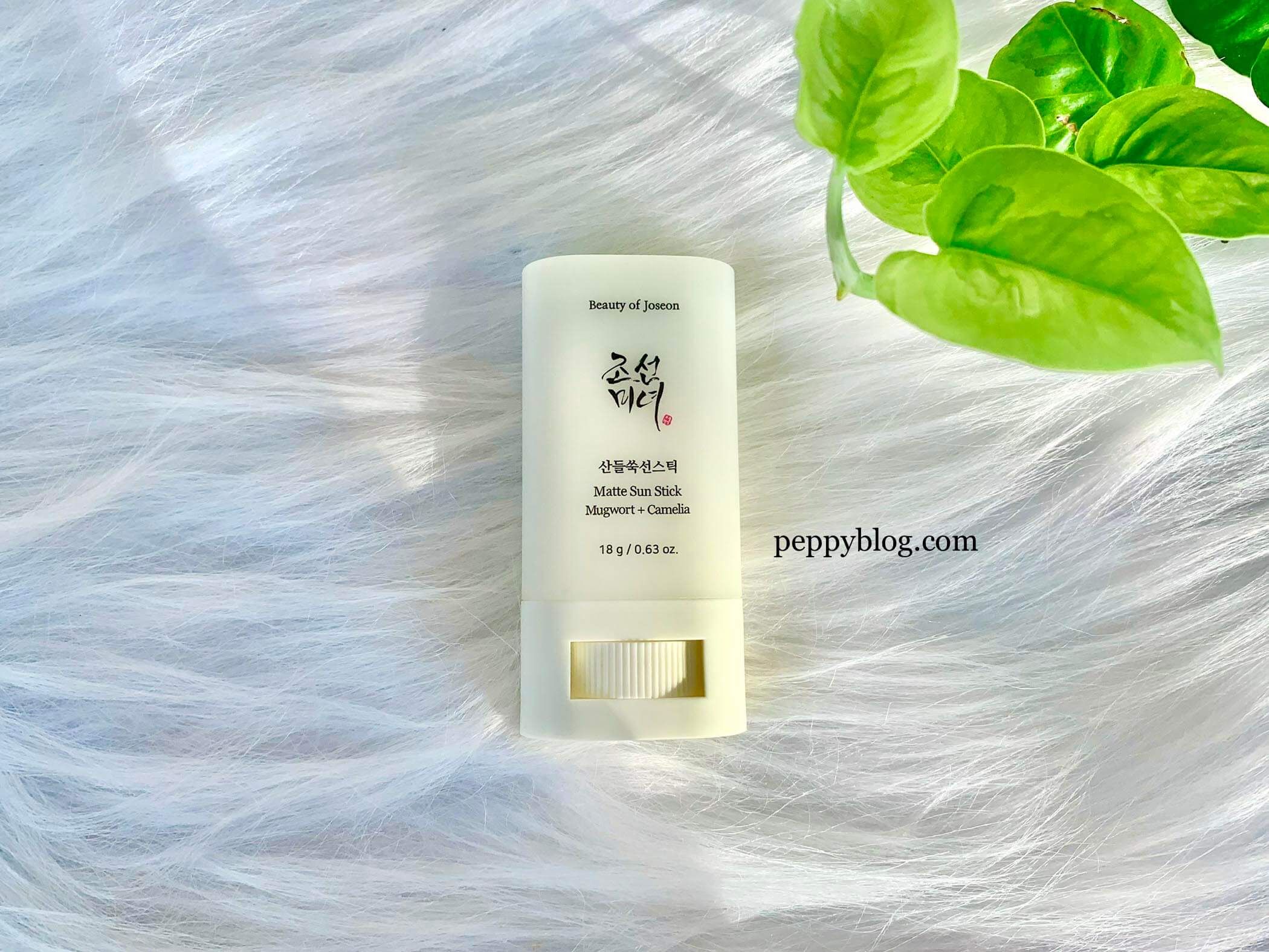 Beauty of Joseon Sunscreen Stick Review - Peppy Blog
